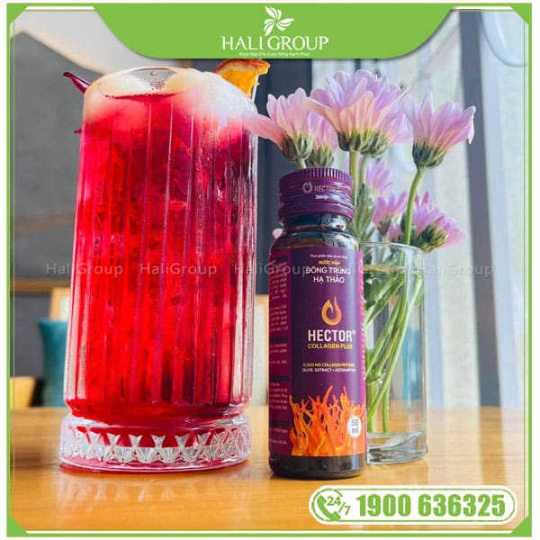 Nước Nấm Đông Trùng Hạ Thảo Hector Collagen Plus
