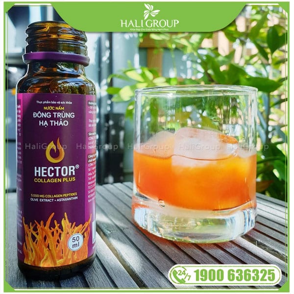 Nước Nấm Đông Trùng Hạ Thảo Hector Collagen Plus