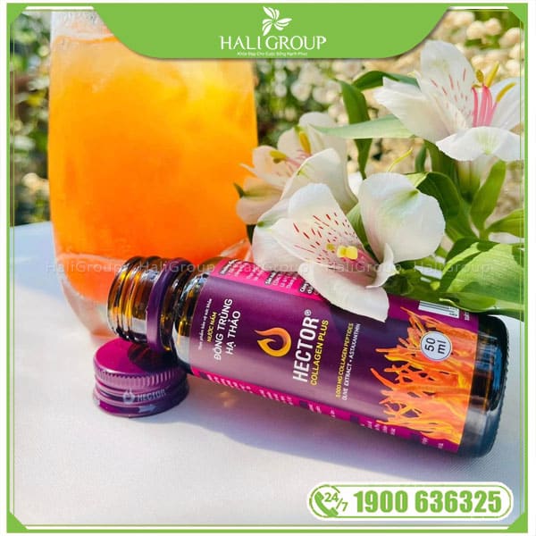 Nước Nấm Đông Trùng Hạ Thảo Hector Collagen Plus