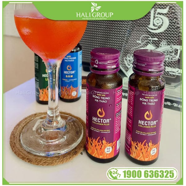 Nước Nấm Đông Trùng Hạ Thảo Hector Collagen Plus