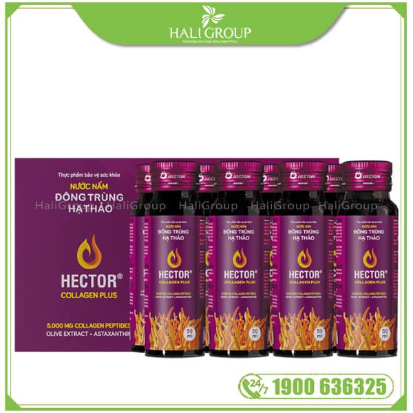 Nước Nấm Đông Trùng Hạ Thảo Hector Collagen Plus